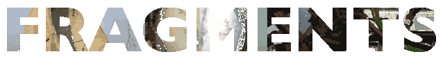 FRAGMENTS